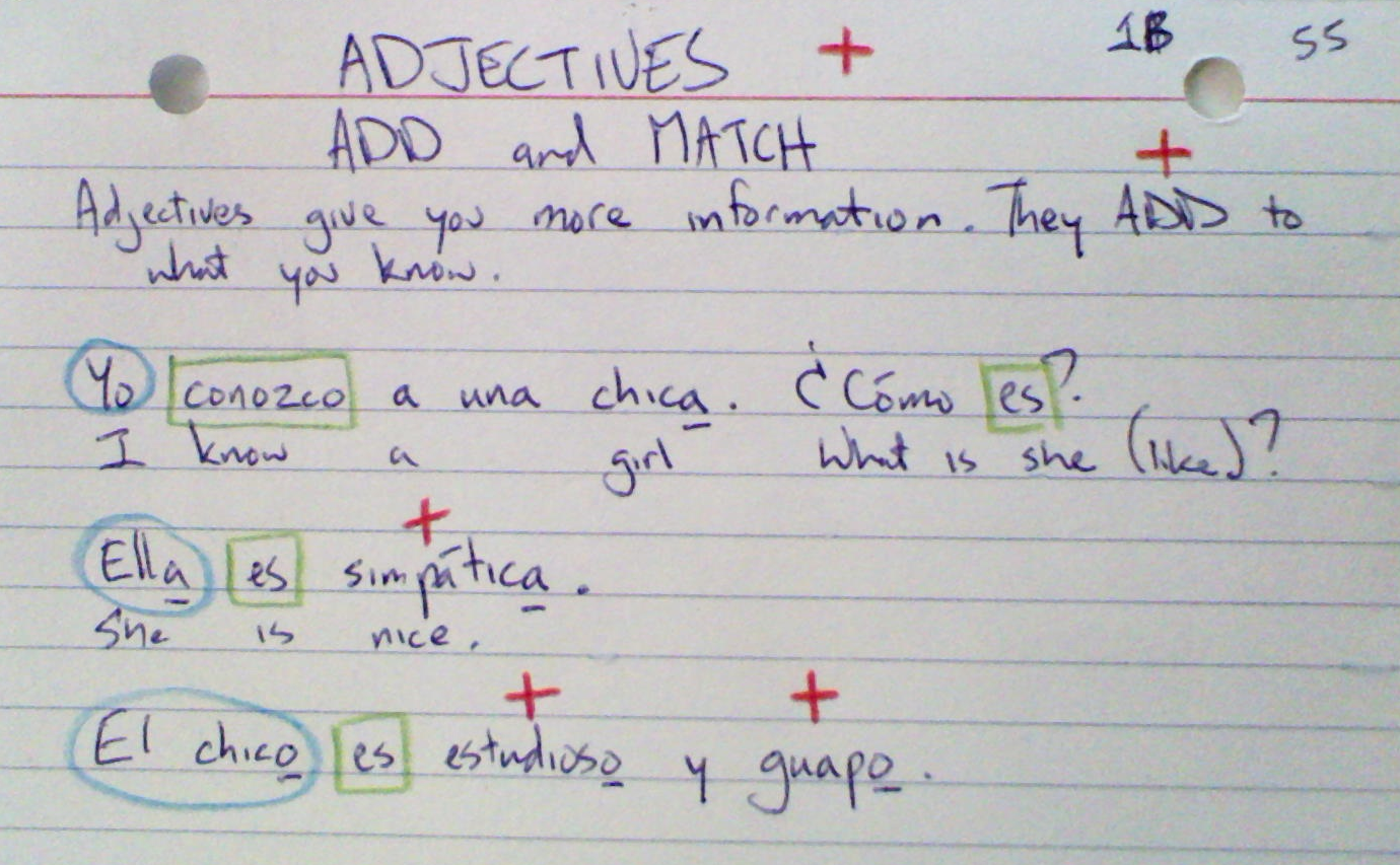 Adjectives and Ser – Spanish-Ace.com